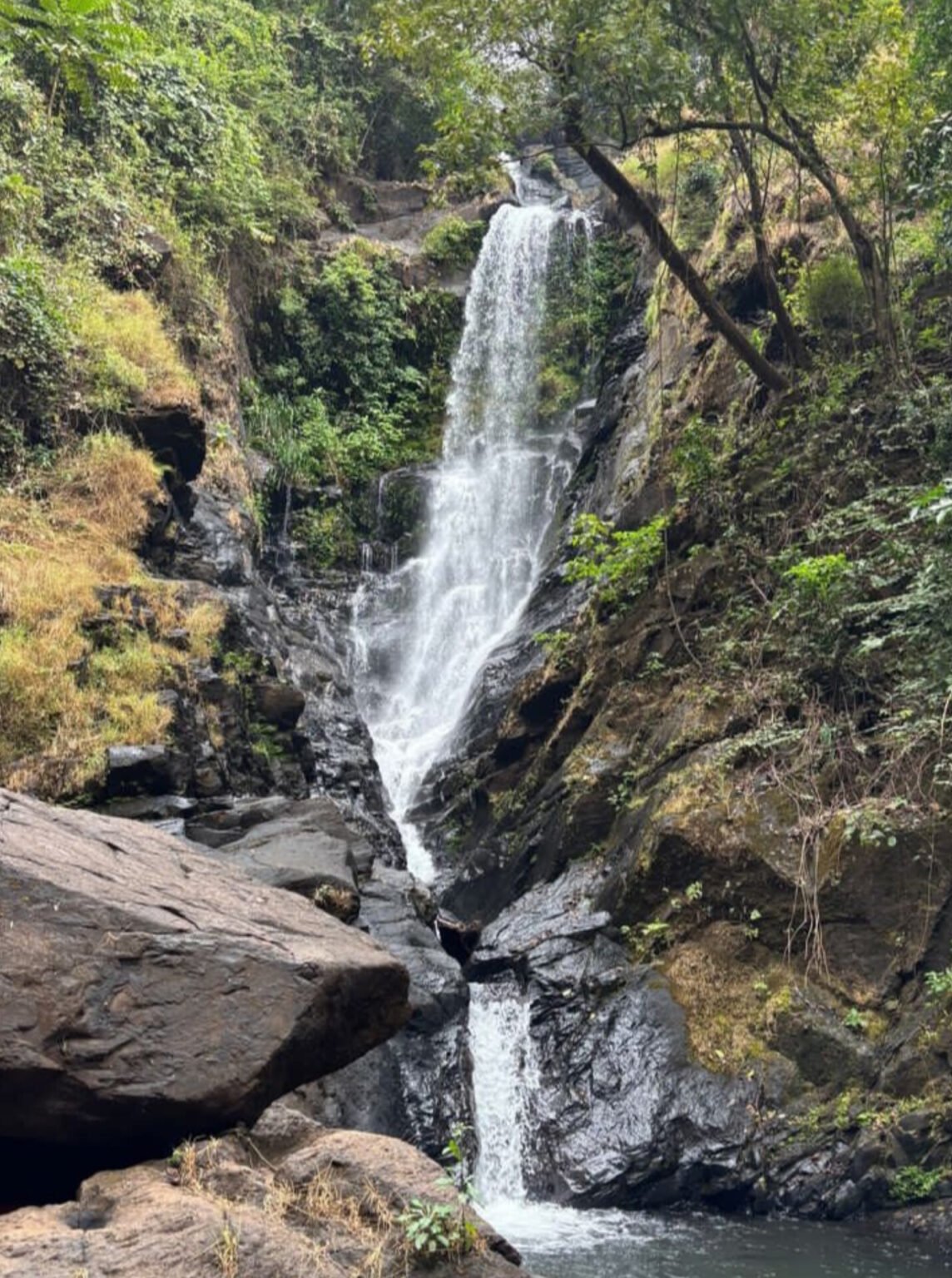 Savari Waterfalls – A Hidden Eden in the Heart of Netravali Forest, Goa ...